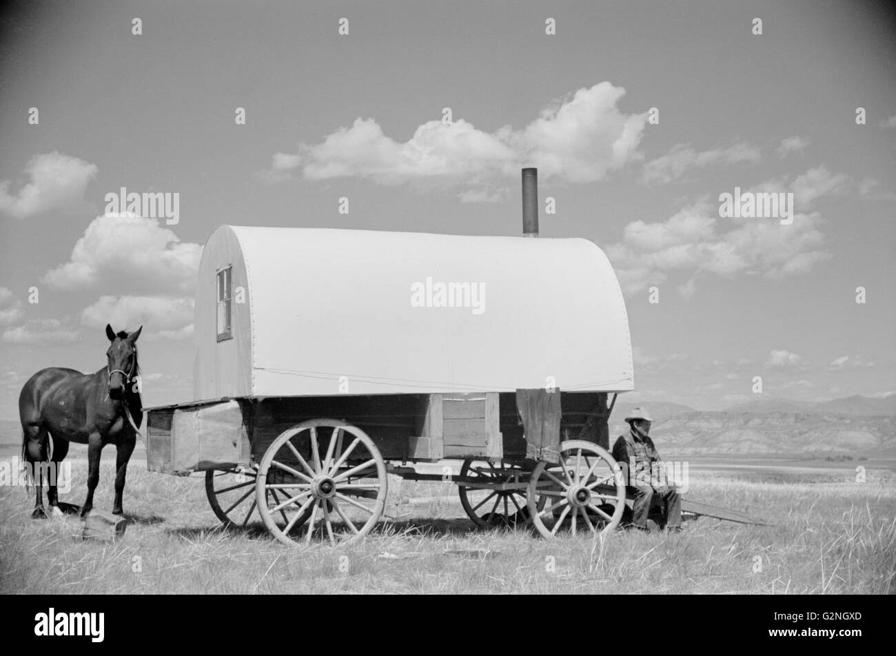 Black man wagon horse hi-res stock photography and images - Alamy