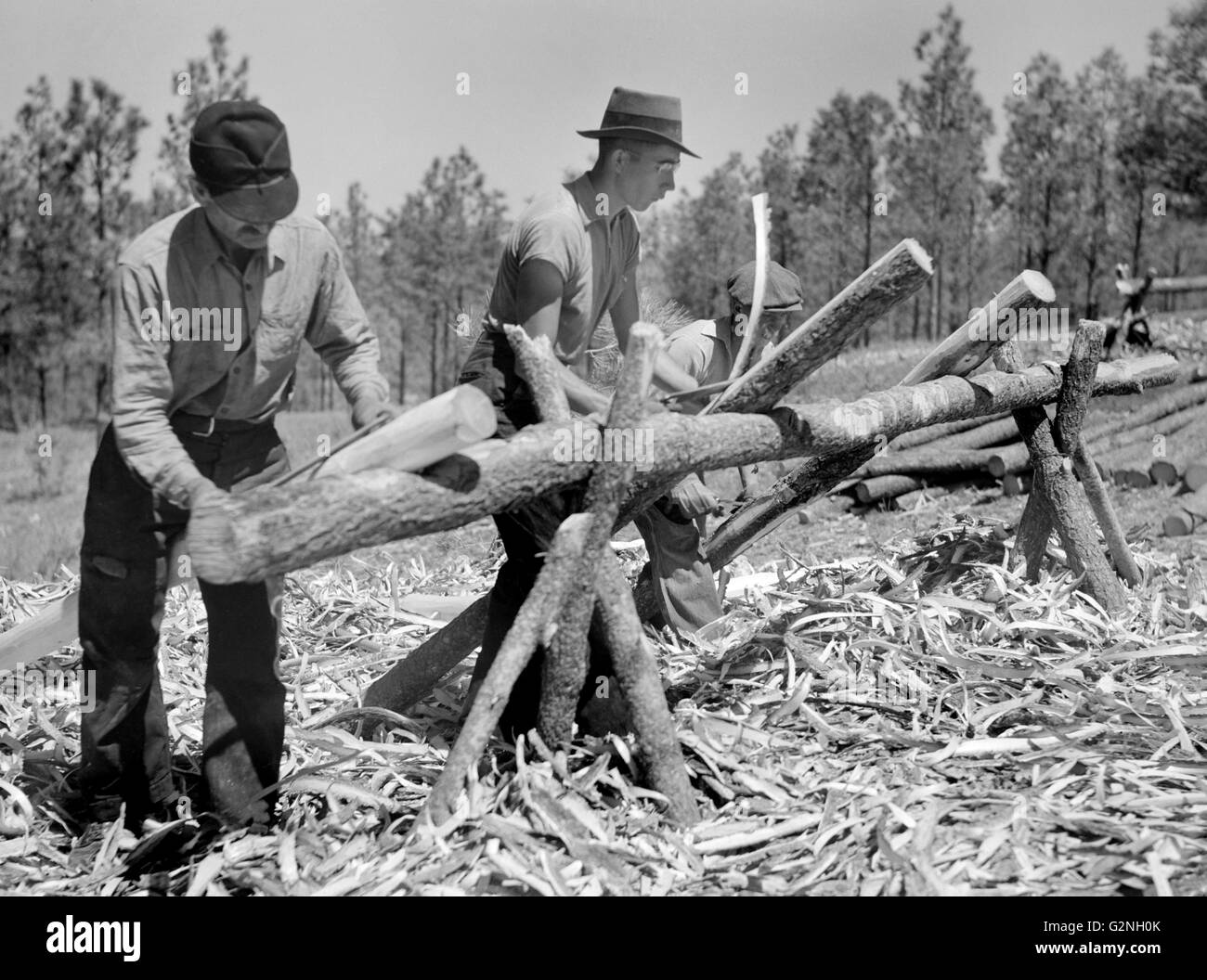 Workers Peeling Pine Logs for Fence Post, Pine Ridge Land Use Project ...