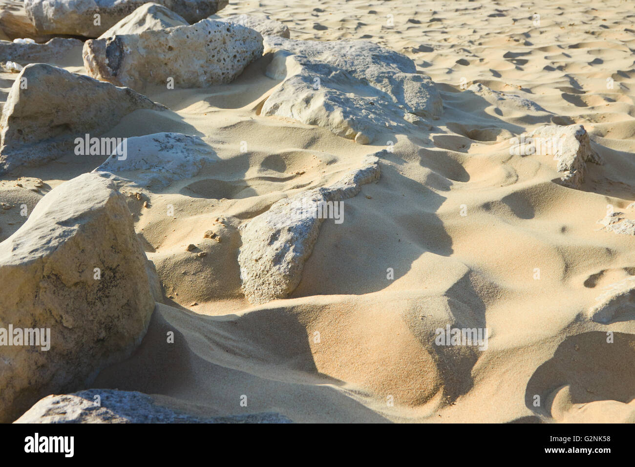 Strong summer sun hi-res stock photography and images - Alamy