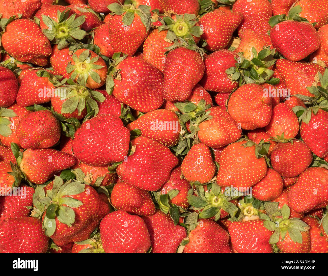 Strawberries clear background hi-res stock photography and images - Alamy