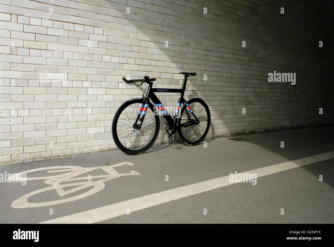 JustRideIt T5 fixed-wheel single-speed bicycle with unique custom ...