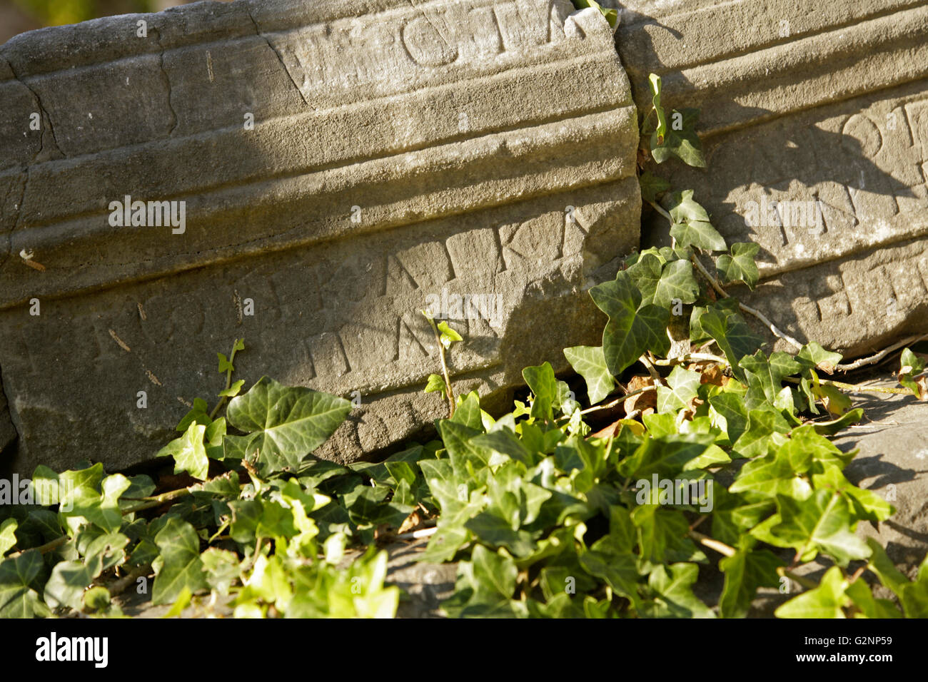 Roman latin writing carved hi-res stock photography and images - Alamy