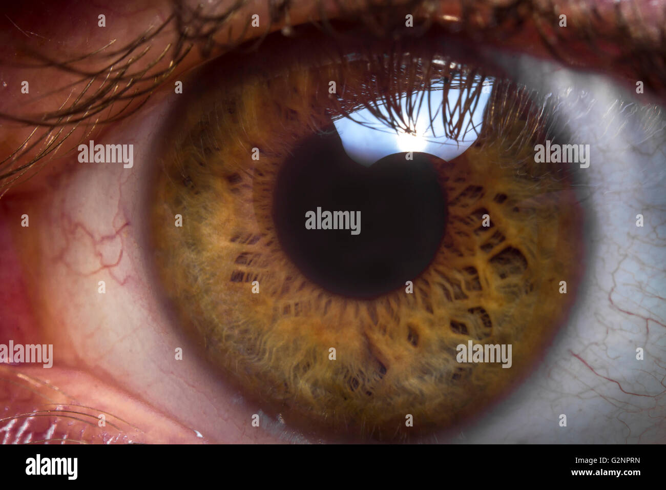 Macro extreme close up human eyeball background Stock Photo - Alamy
