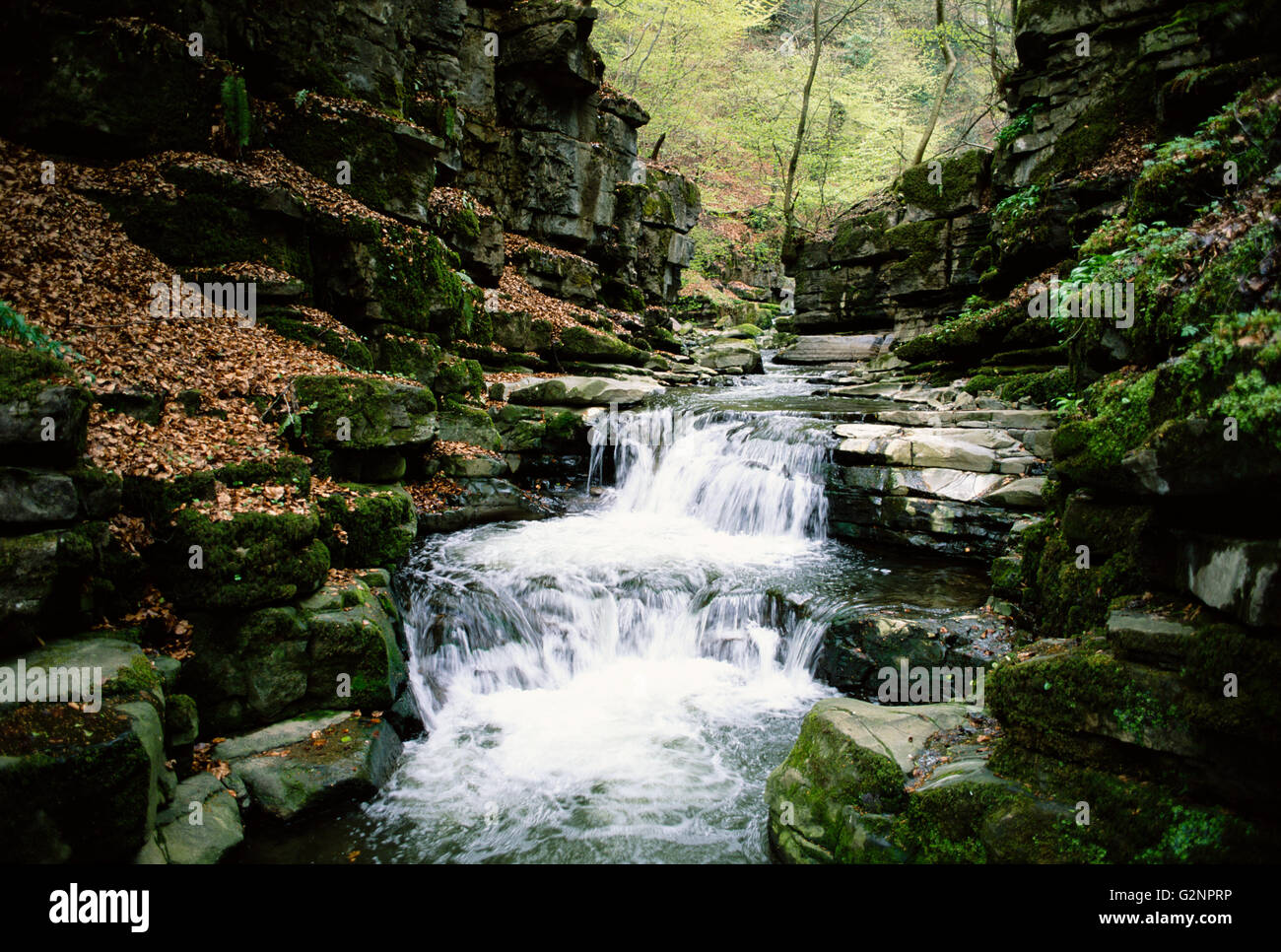 Clydach Gorge High Resolution Stock Photography and Images - Alamy