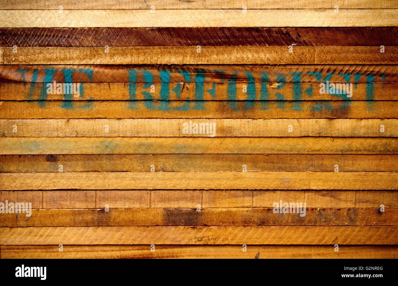 Timber reforestation hi-res stock photography and images - Alamy