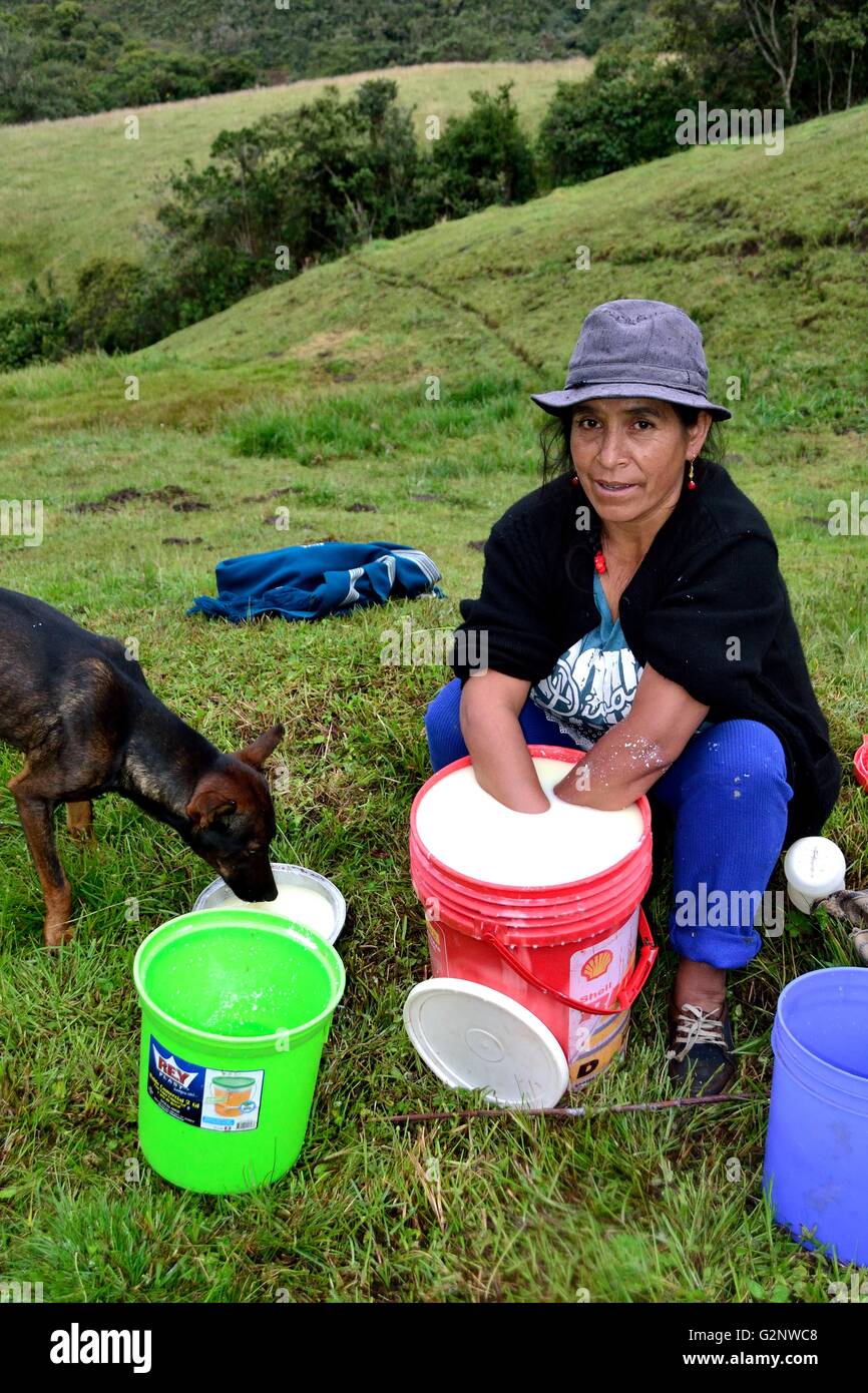Curdling Milk for elaboration of traditional cheese in Sapalache " Las ...
