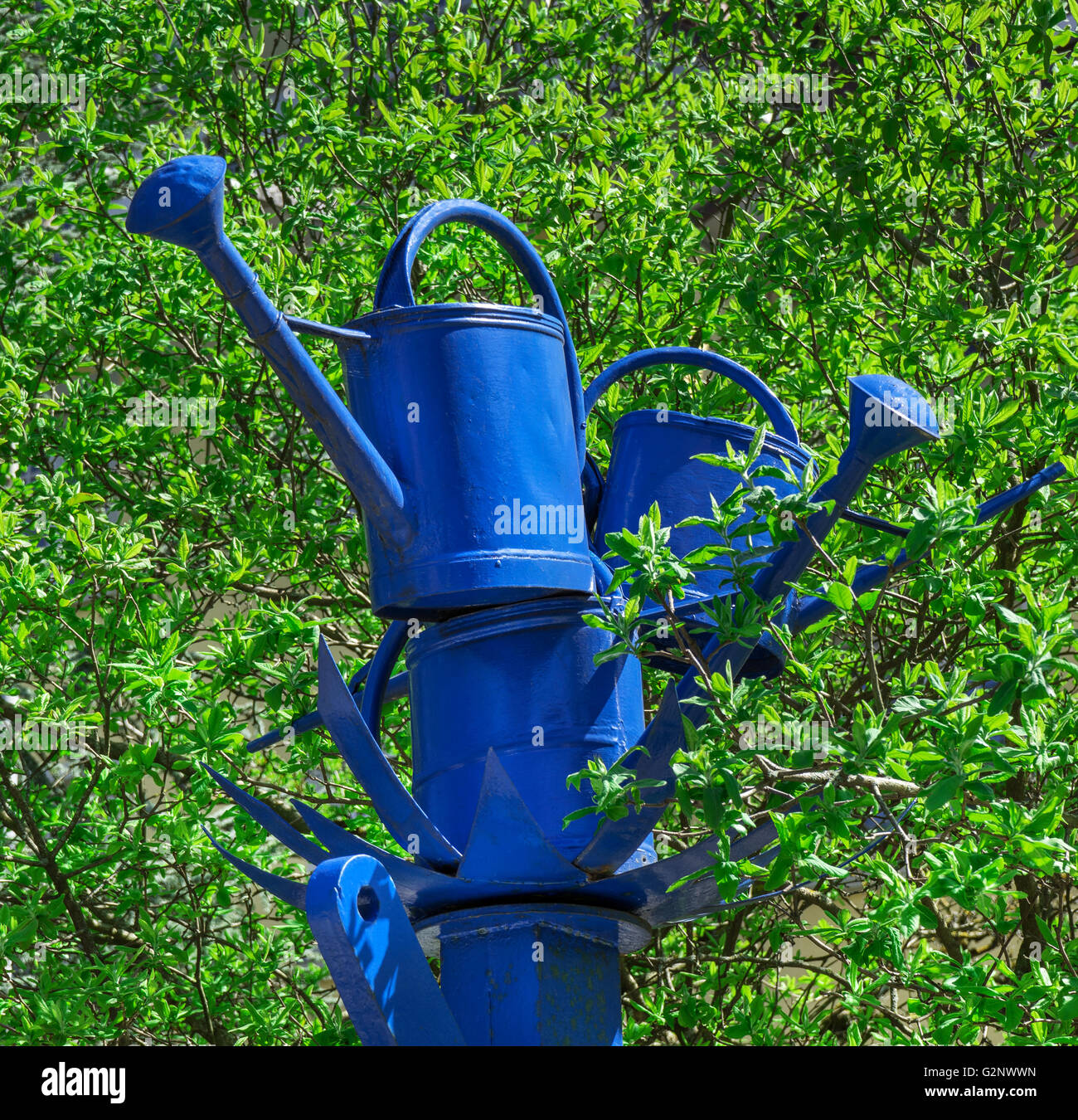 Blue watering cans Stock Photo - Alamy