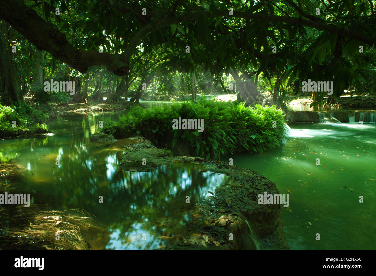 panorama view of nice waterfall and pond in green tropic environment ...