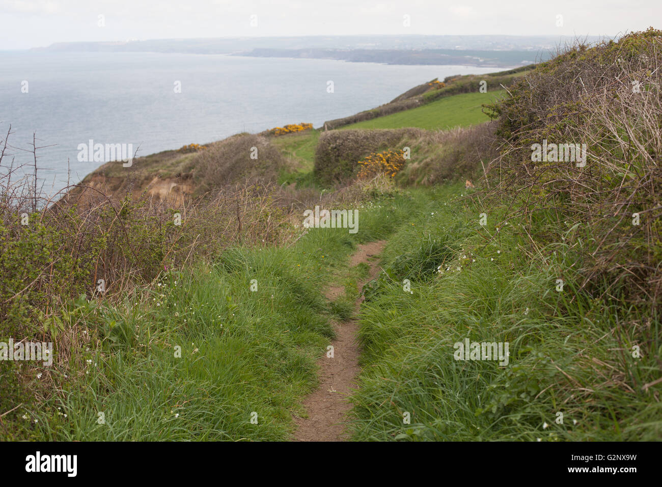 Cornish Coastal Path Stock Photo - Alamy