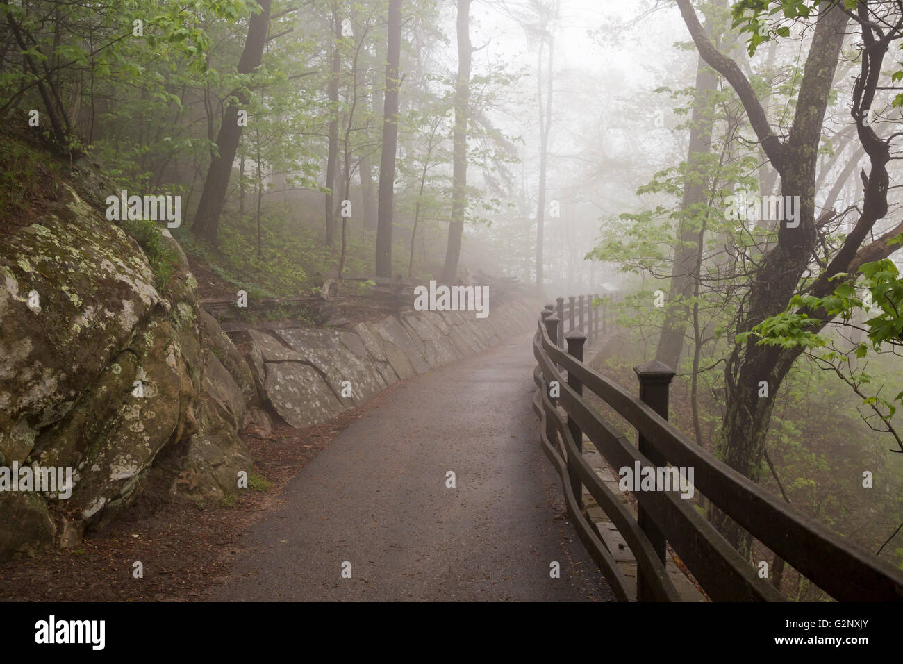 Cumberland Gap, Tennessee - A walkway leading to Pinnacle Overlook in ...