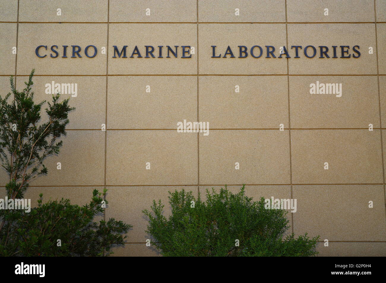 Csiro australia hi-res stock photography and images - Alamy