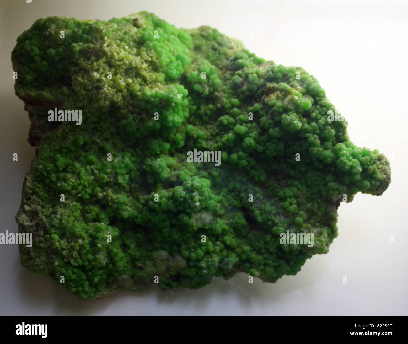 Chlorophosphate hi-res stock photography and images - Alamy