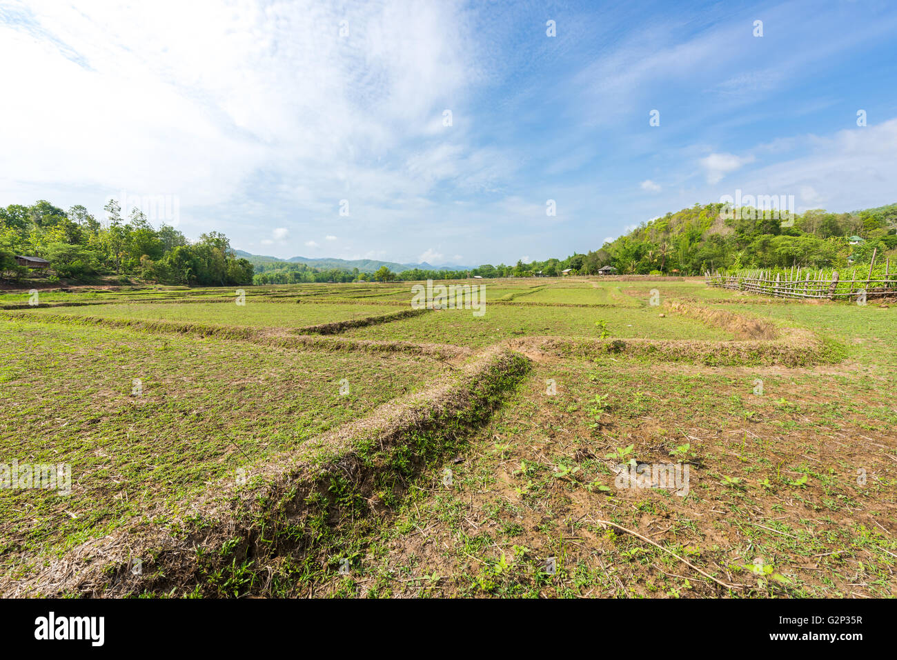 Rice Fields before farming Stock Photo - Alamy