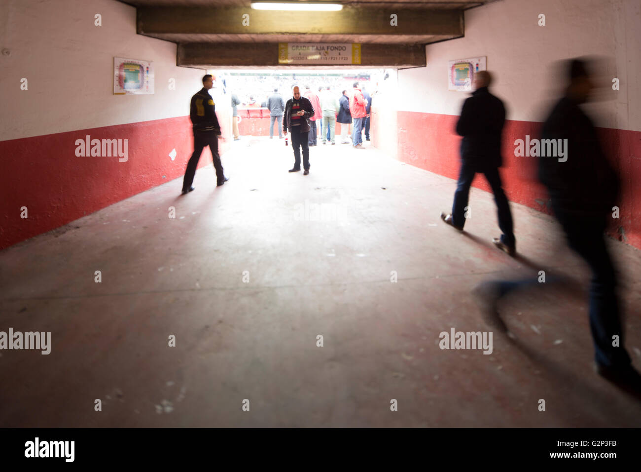 Vomitorium hi-res stock photography and images - Alamy