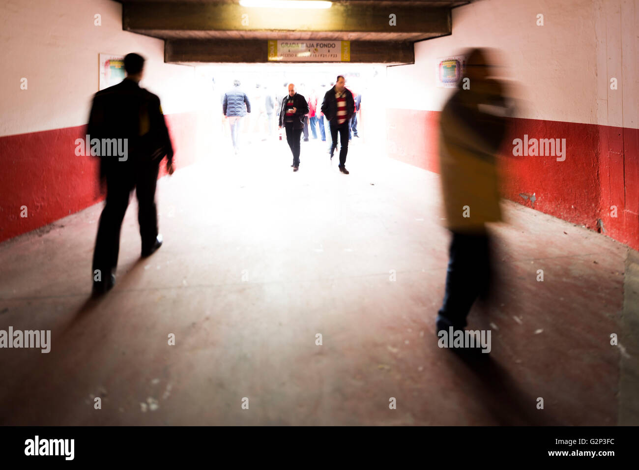 Vomitorium hi-res stock photography and images - Alamy