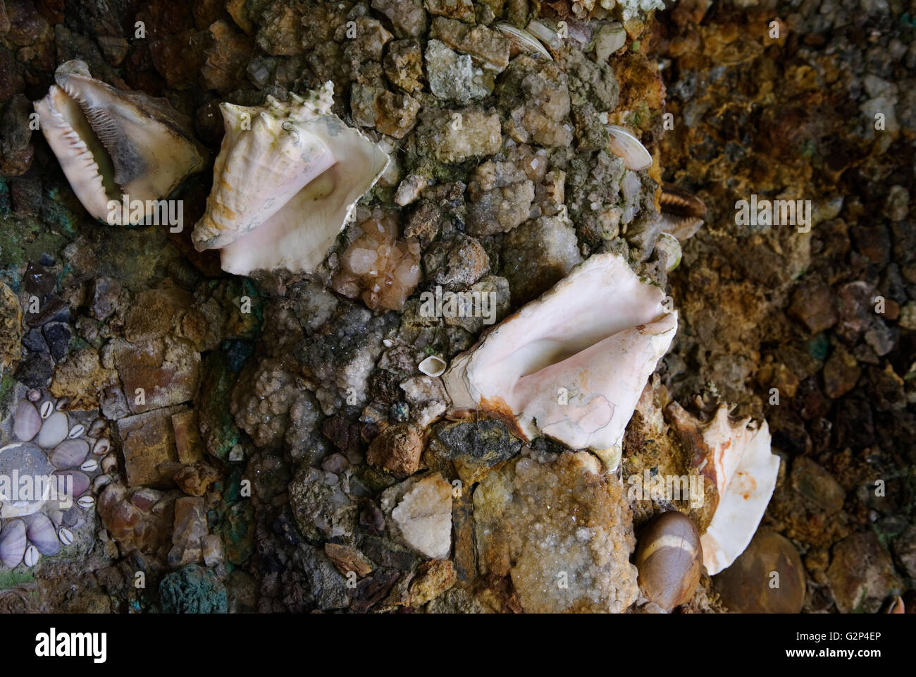 Shell grotto hi-res stock photography and images - Alamy