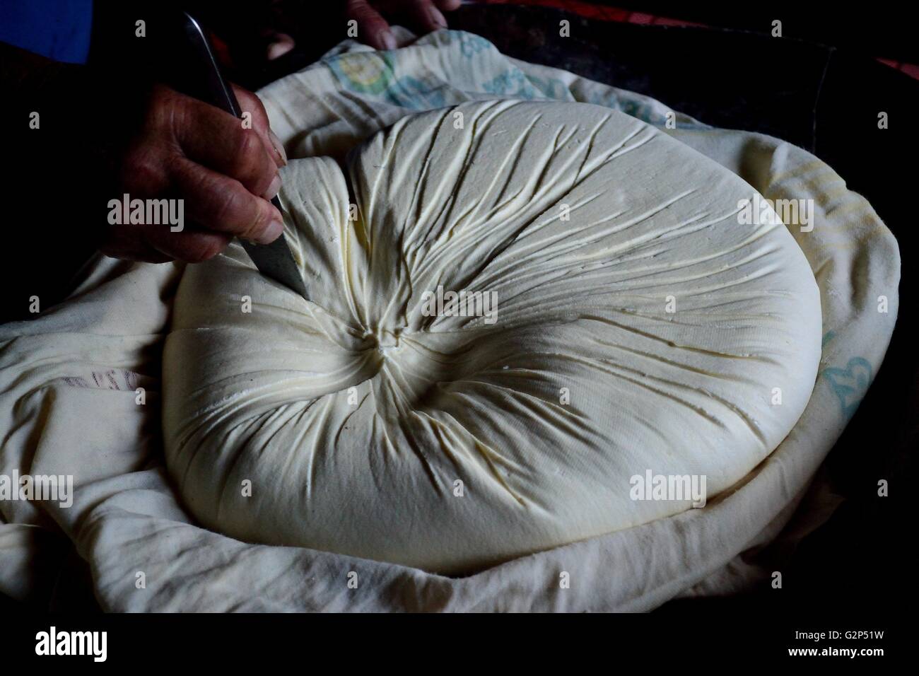 Elaboration of traditional cheese in Sapalache " Las Huaringas ...