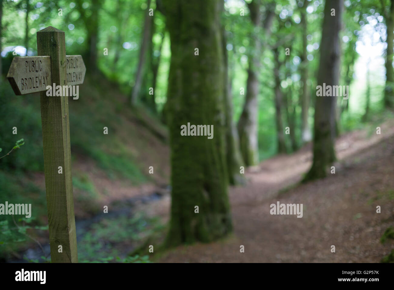 Public bridleway path hi-res stock photography and images - Alamy