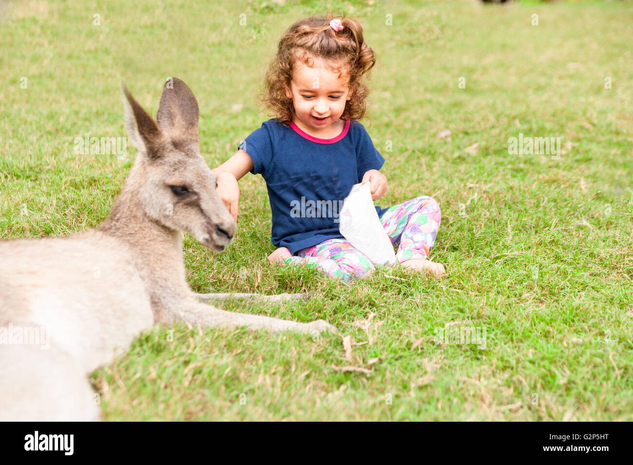 Australia kangaroo girl hi-res stock photography and images - Alamy