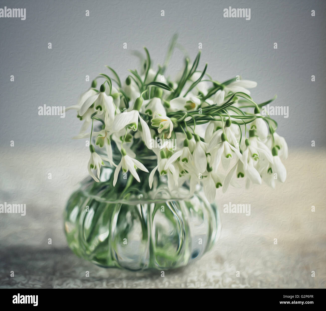 Classic Still Life with Beautiful white snowdrop flowers in spring ...