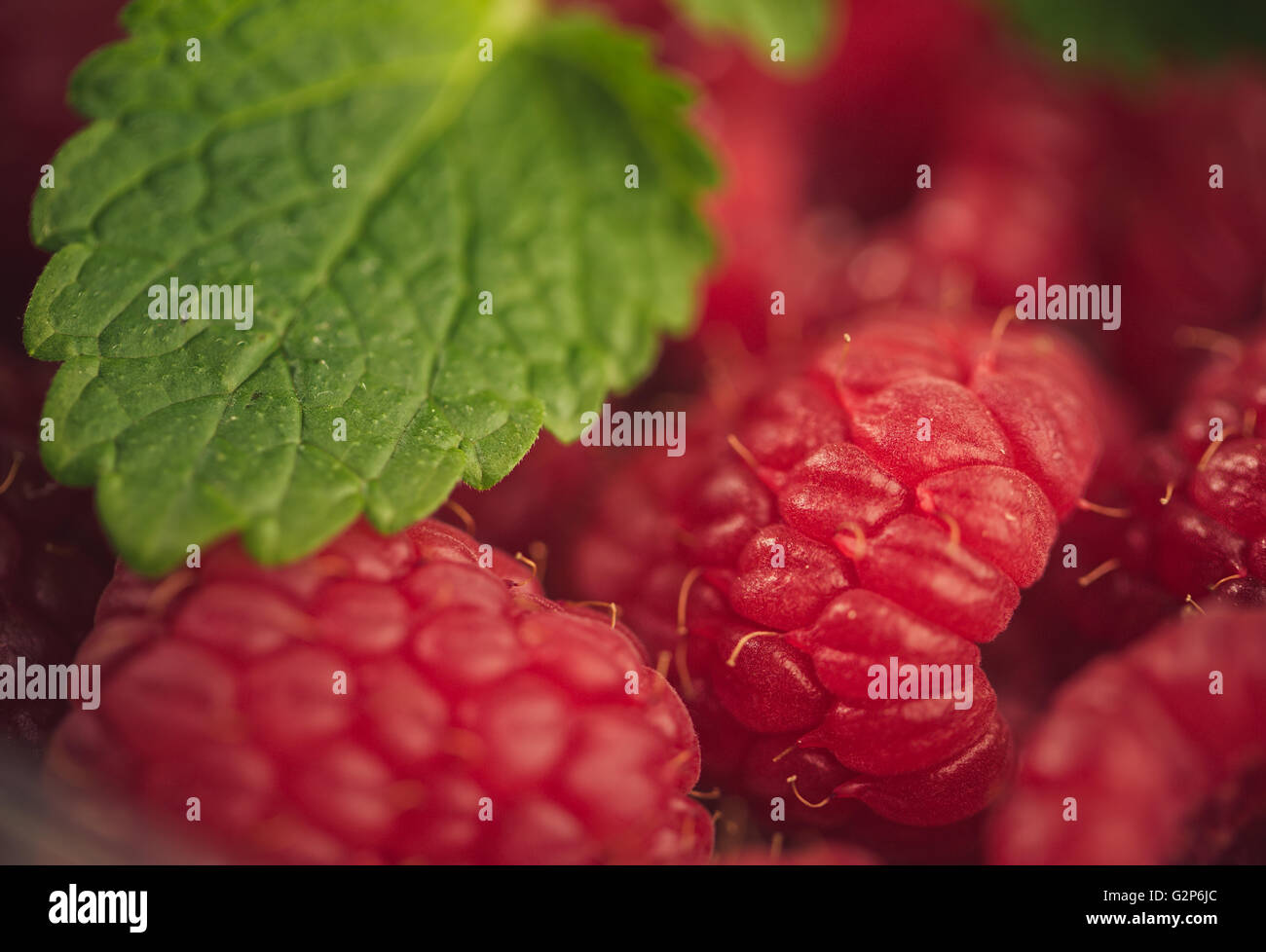 Fruit from garden hi-res stock photography and images - Alamy