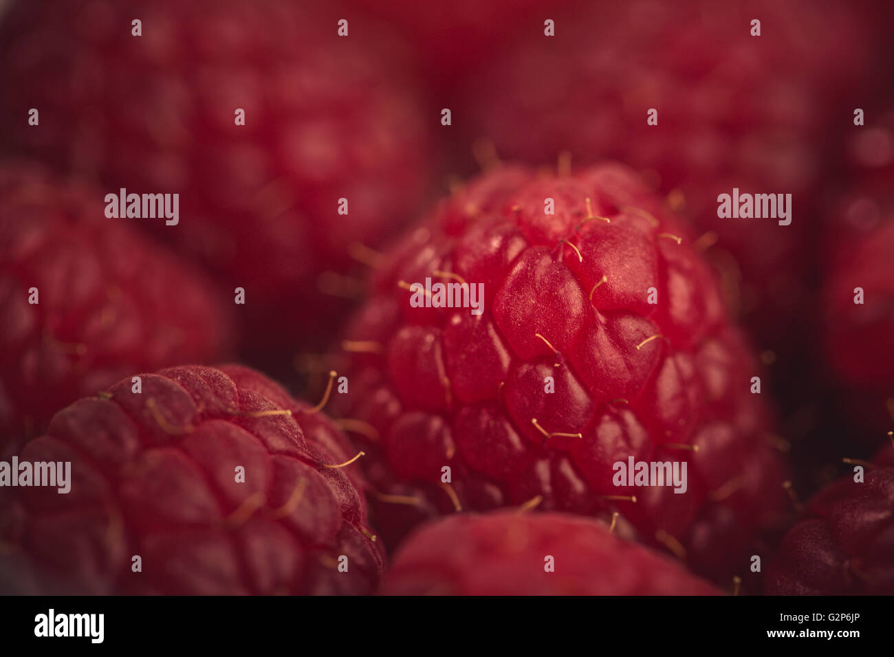 Heap of fresh ripe red Raspberries from the garden Stock Photo - Alamy