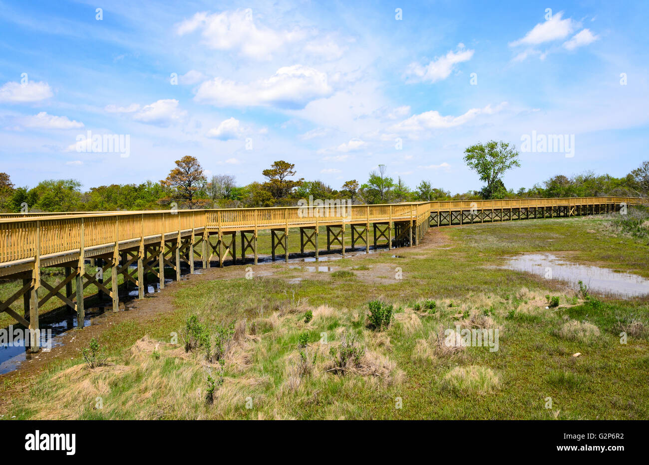 Assateague island hi-res stock photography and images - Alamy