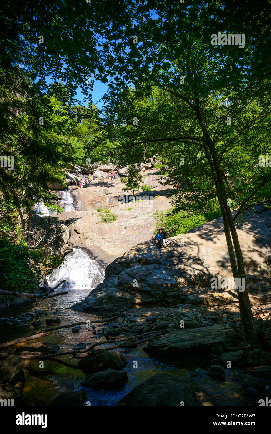 Cunningham park hi-res stock photography and images - Alamy