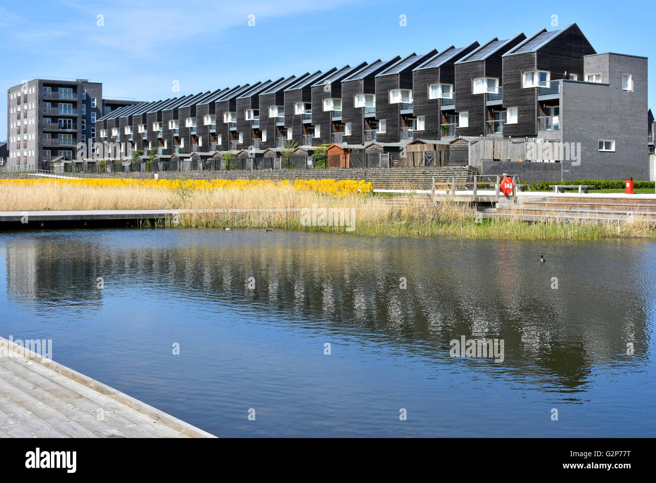 Barking Riverside new modern terraced housing & landscaped lake in UK ...