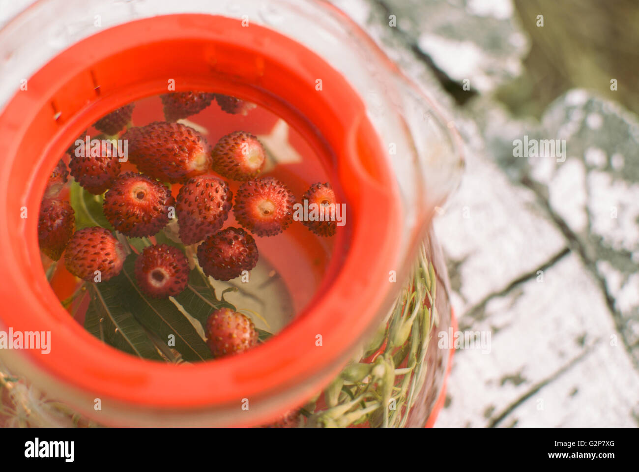 teapot of fruit tea with herbs and berry on the white tree stump Stock ...