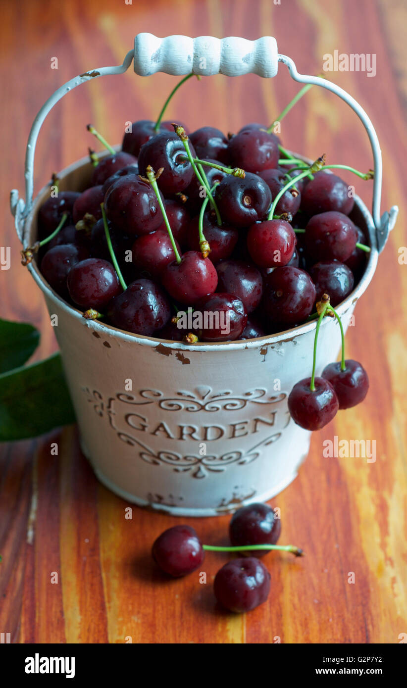 ripe dark red cherry in an iron bucket, selective focus Stock Photo - Alamy