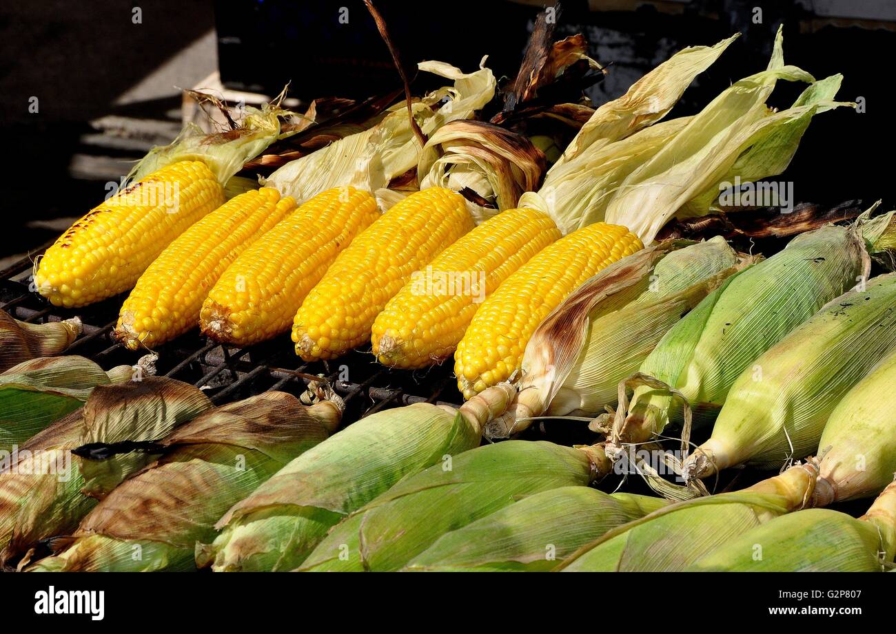 New York City : Roasted corn sold by a food vendor at an Amsterdam ...