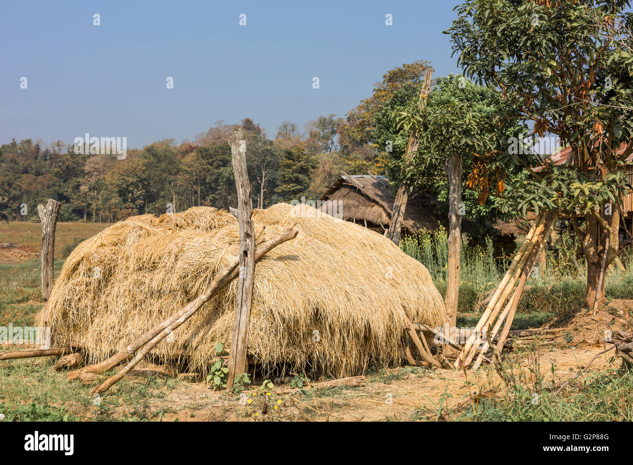 Farm in a Shan village. Countryside of Shan state, Myanmar, Burma ...