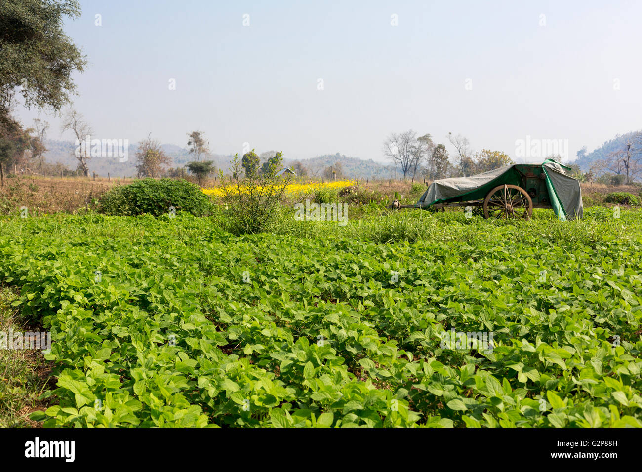 Farming village near bagan hi-res stock photography and images - Alamy