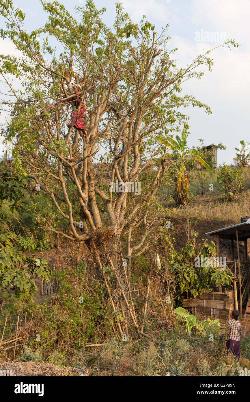 Shan village at sunset. Countryside of Shan state, Myanmar, Burma ...