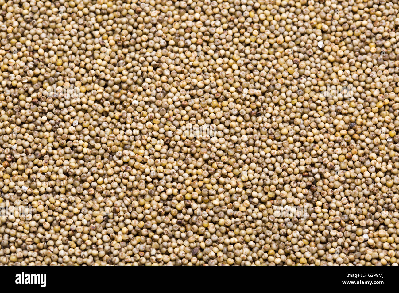 Background of uncooked millet Stock Photo - Alamy