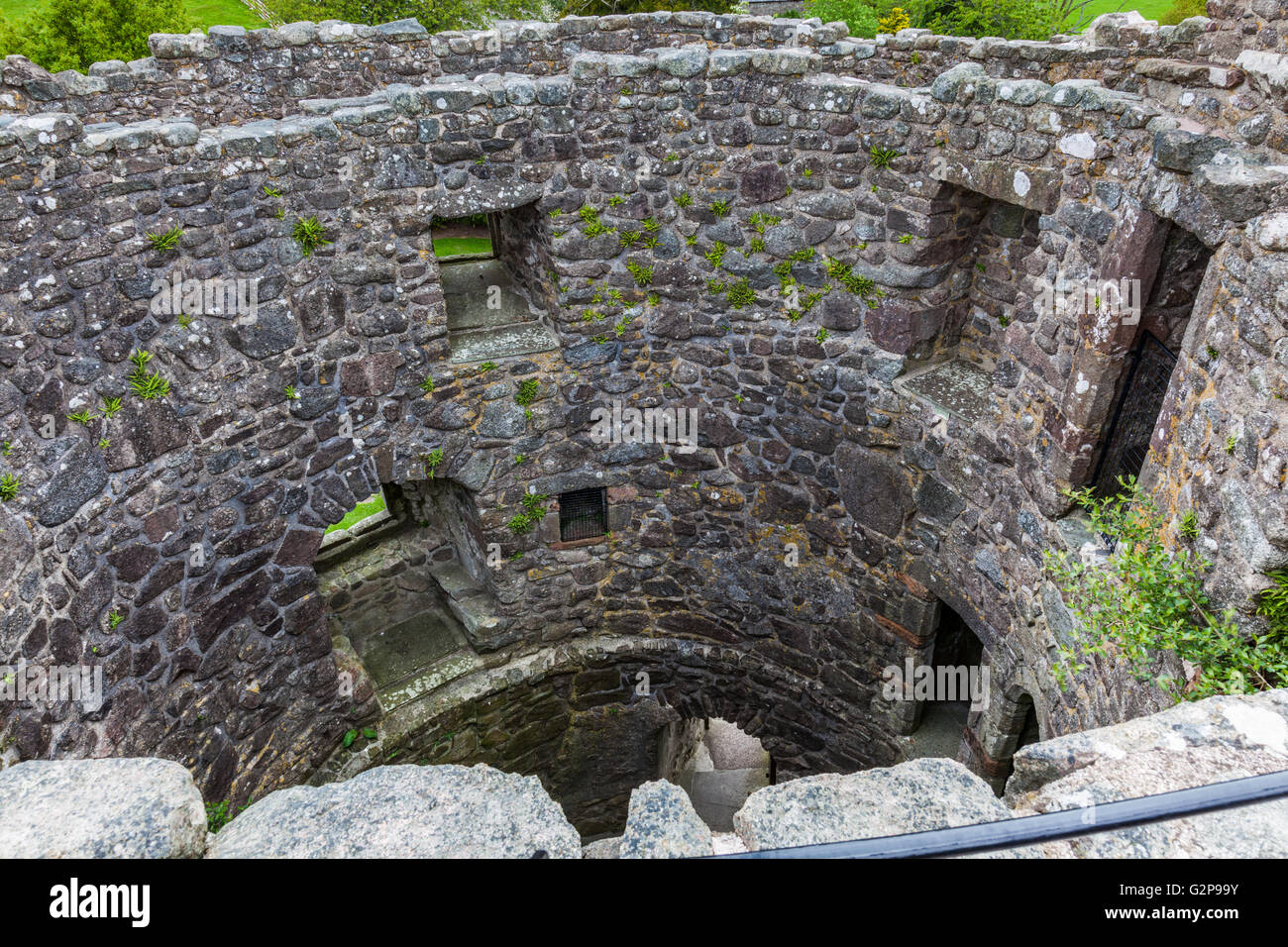 Looking down into the circular structure of Orchardton Tower, near ...
