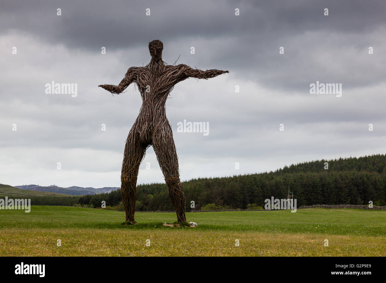 Wickerman hi-res stock photography and images - Alamy