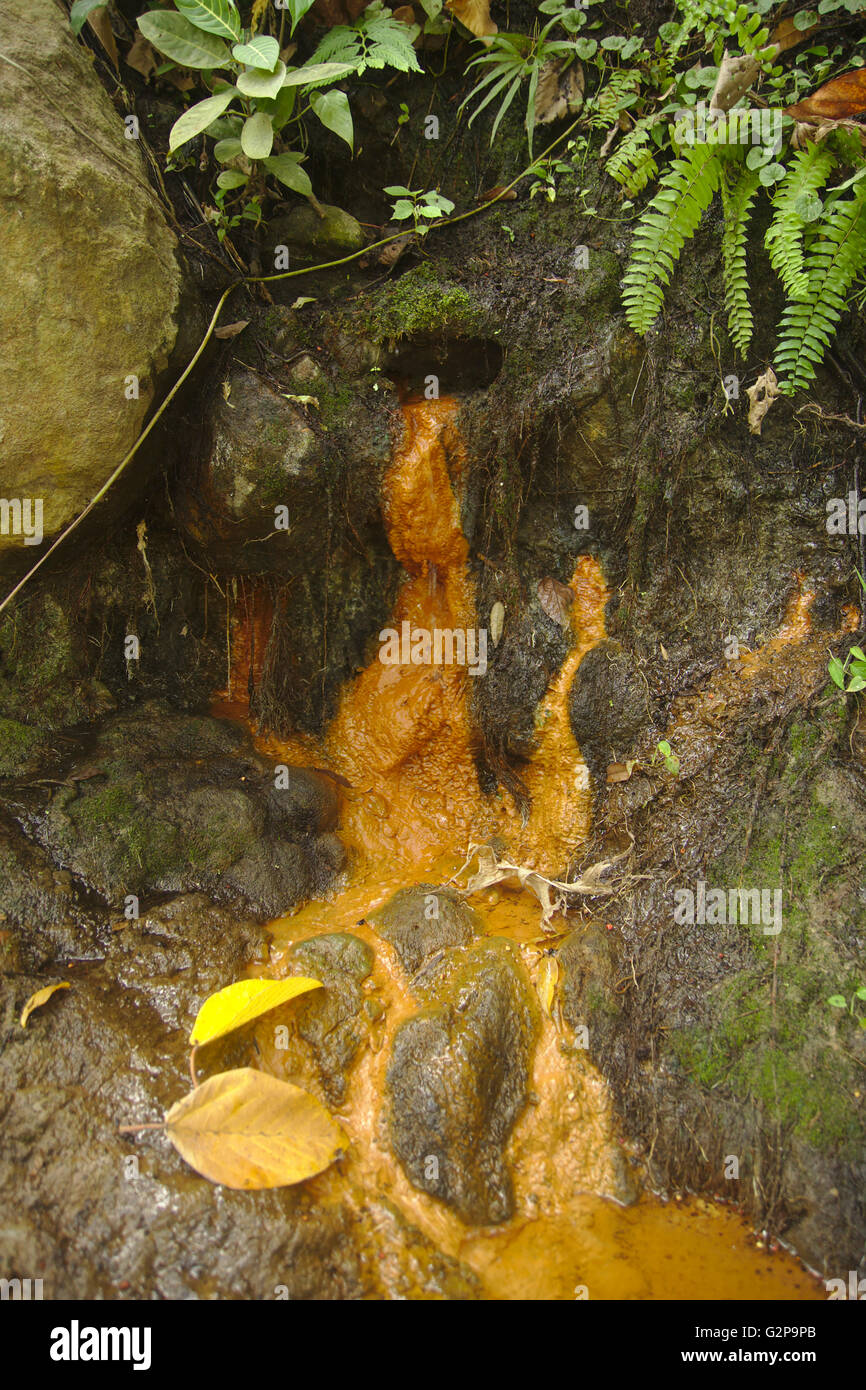 Philippines hot spring hi-res stock photography and images - Alamy