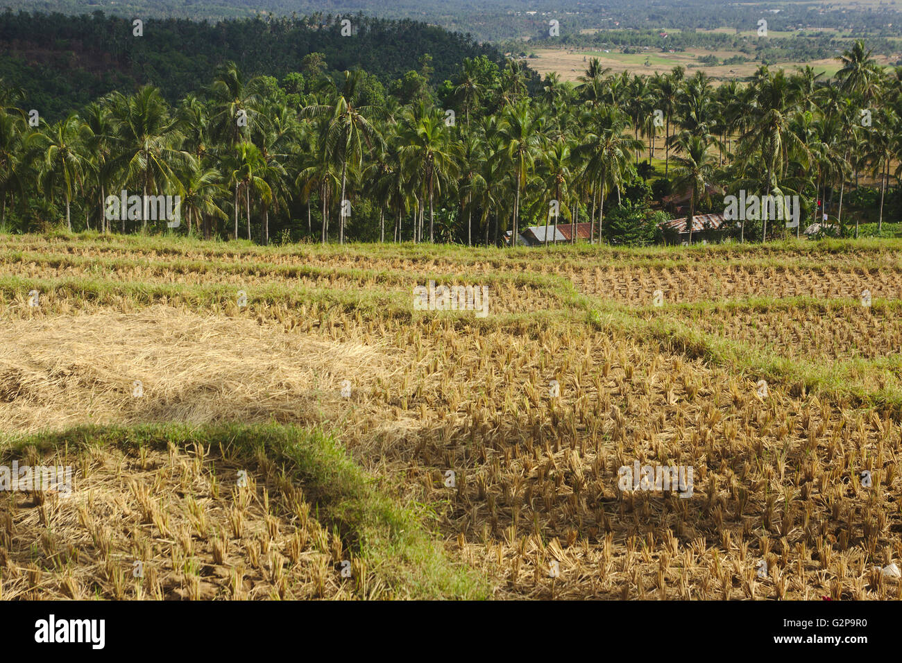 Biliran philippines hi-res stock photography and images - Alamy