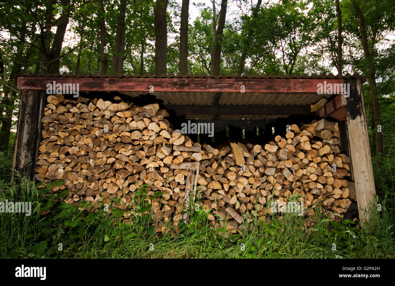 Shed with woodstack in forest Stock Photo - Alamy