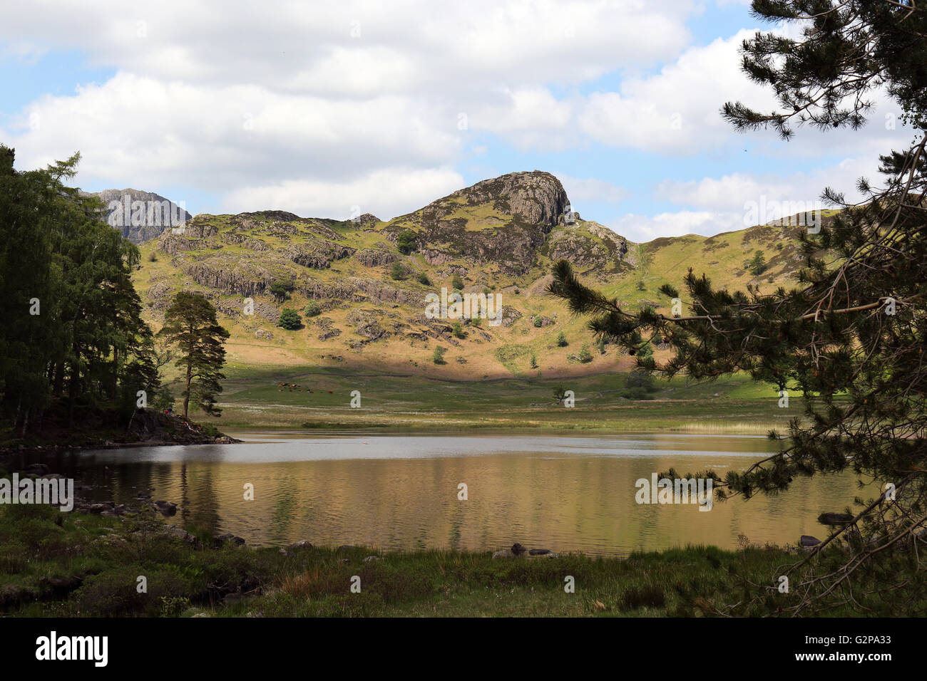 Blea Tarn in the Lake District Stock Photo - Alamy