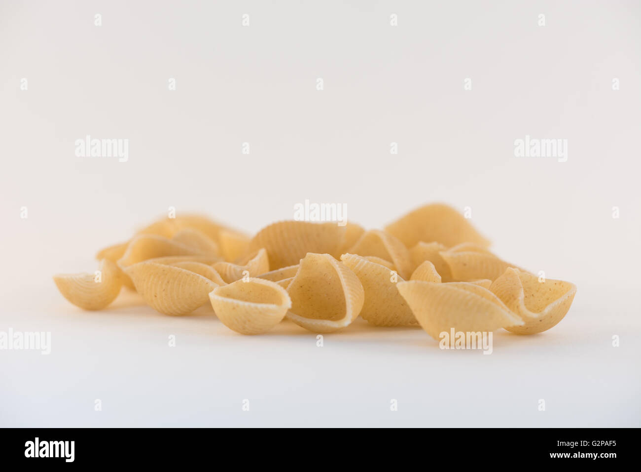 spelt conchiglie pasta shells with white background Stock Photo - Alamy