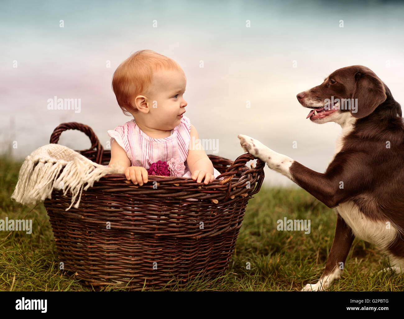 Baby girl and dog hi-res stock photography and images - Alamy