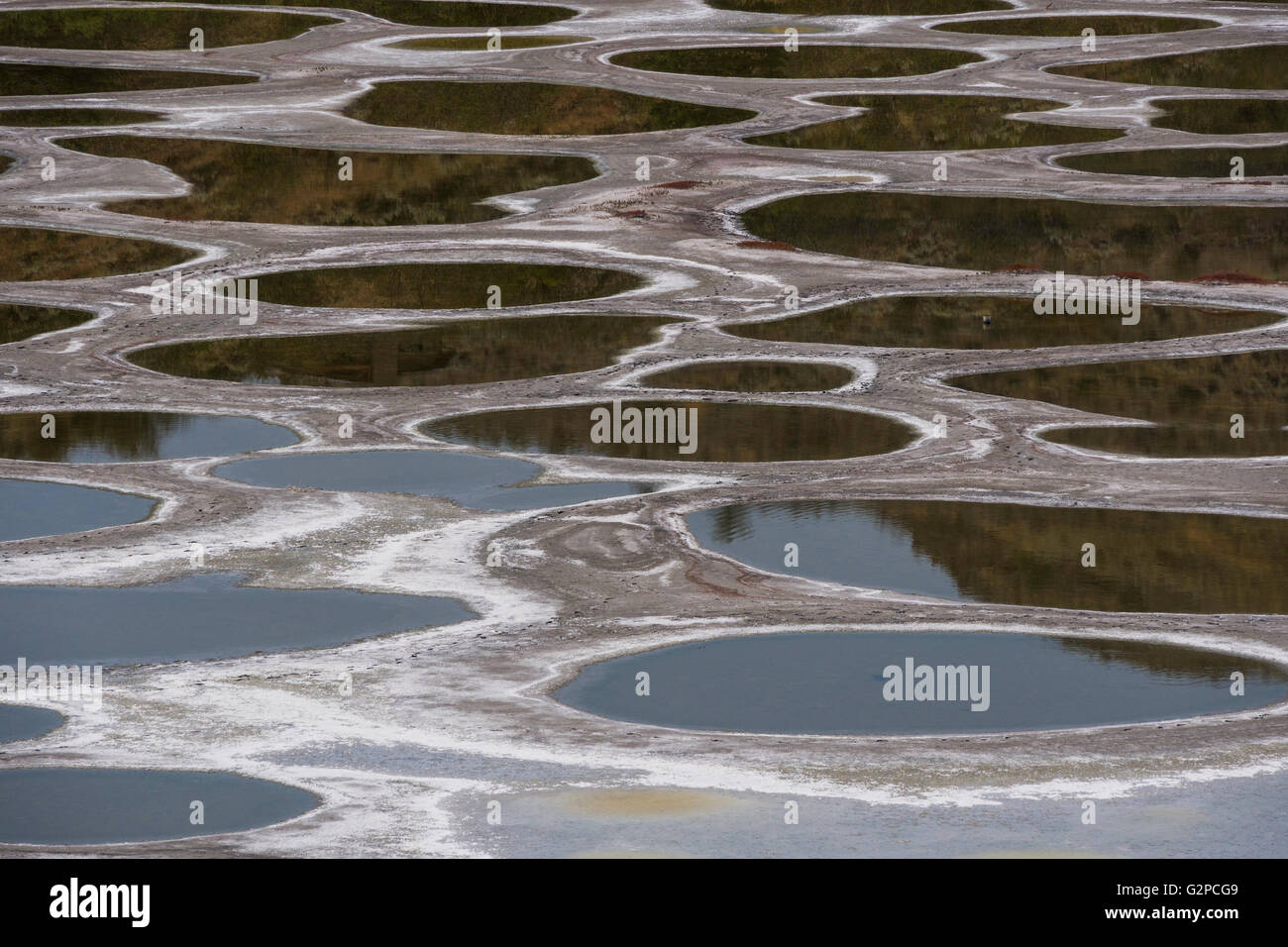 Spotted Lake is a saline endorheic alkali lake near Osoyoos, BC, Canada ...