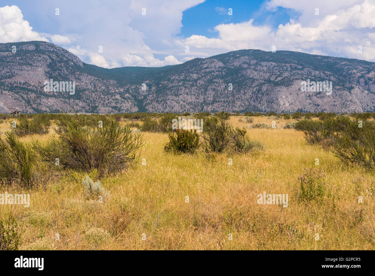 Osoyoos Desert Centre, BC, Canada, is 67 acre nature interpretive ...