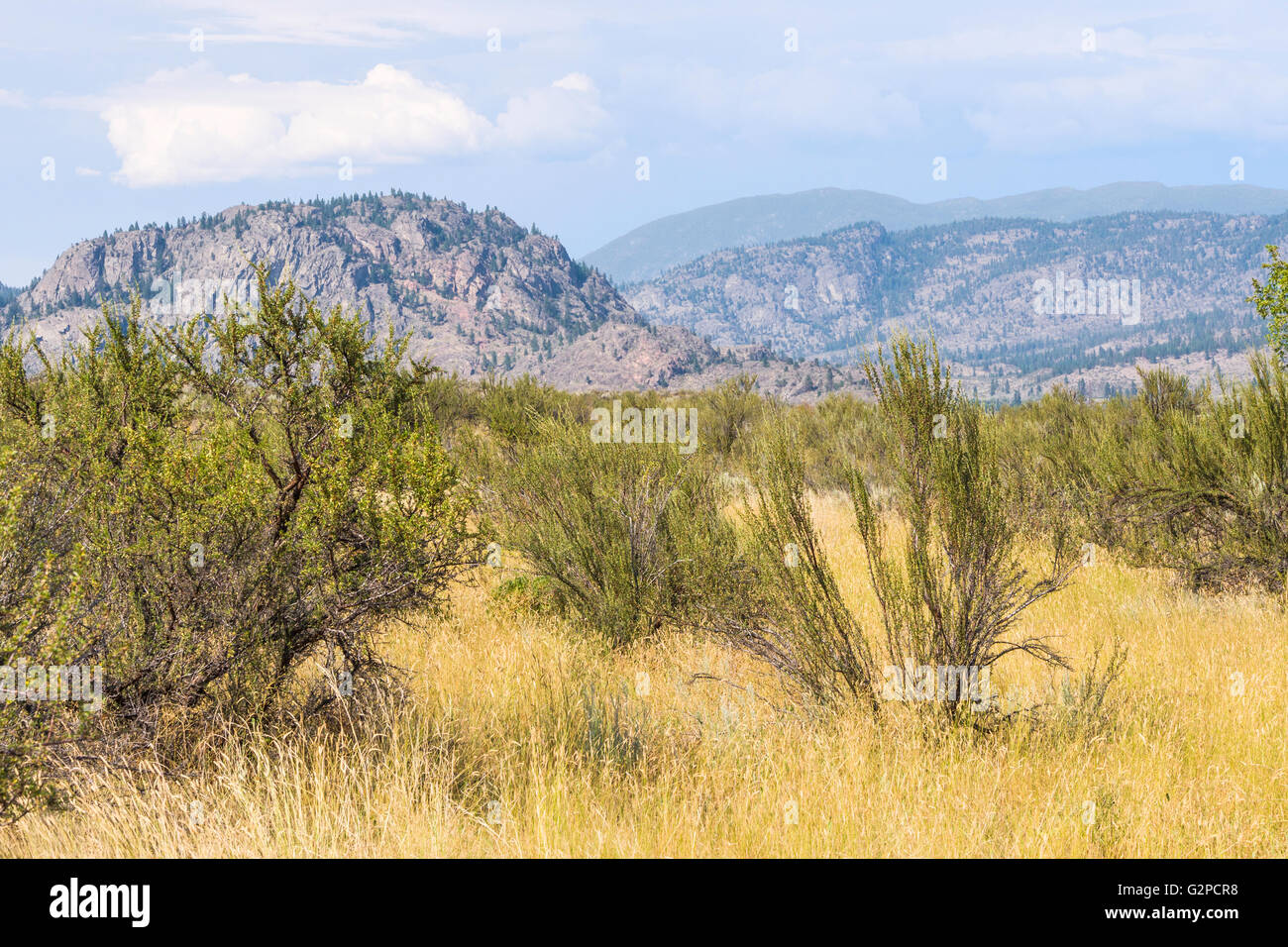 Osoyoos Desert Centre, BC, Canada, is 67 acre nature interpretive ...