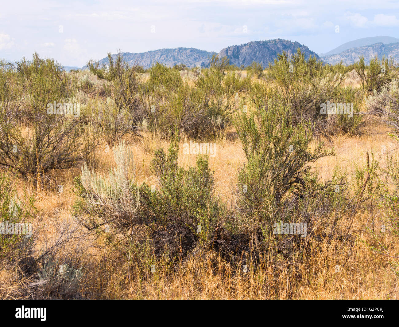 Osoyoos Desert Centre, BC, Canada, is 67 acre nature interpretive ...