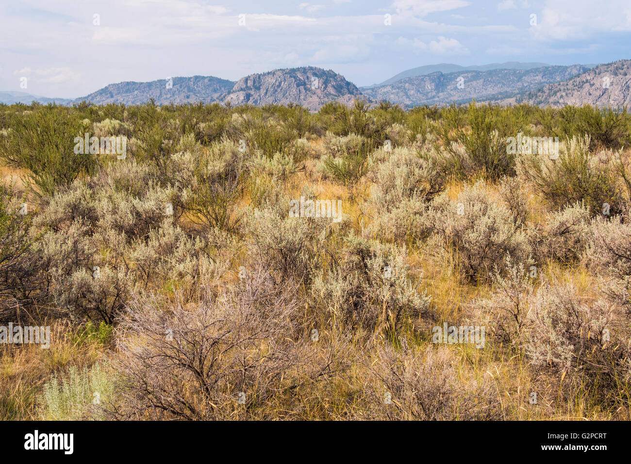 Osoyoos Desert Centre, BC, Canada, is 67 acre nature interpretive ...