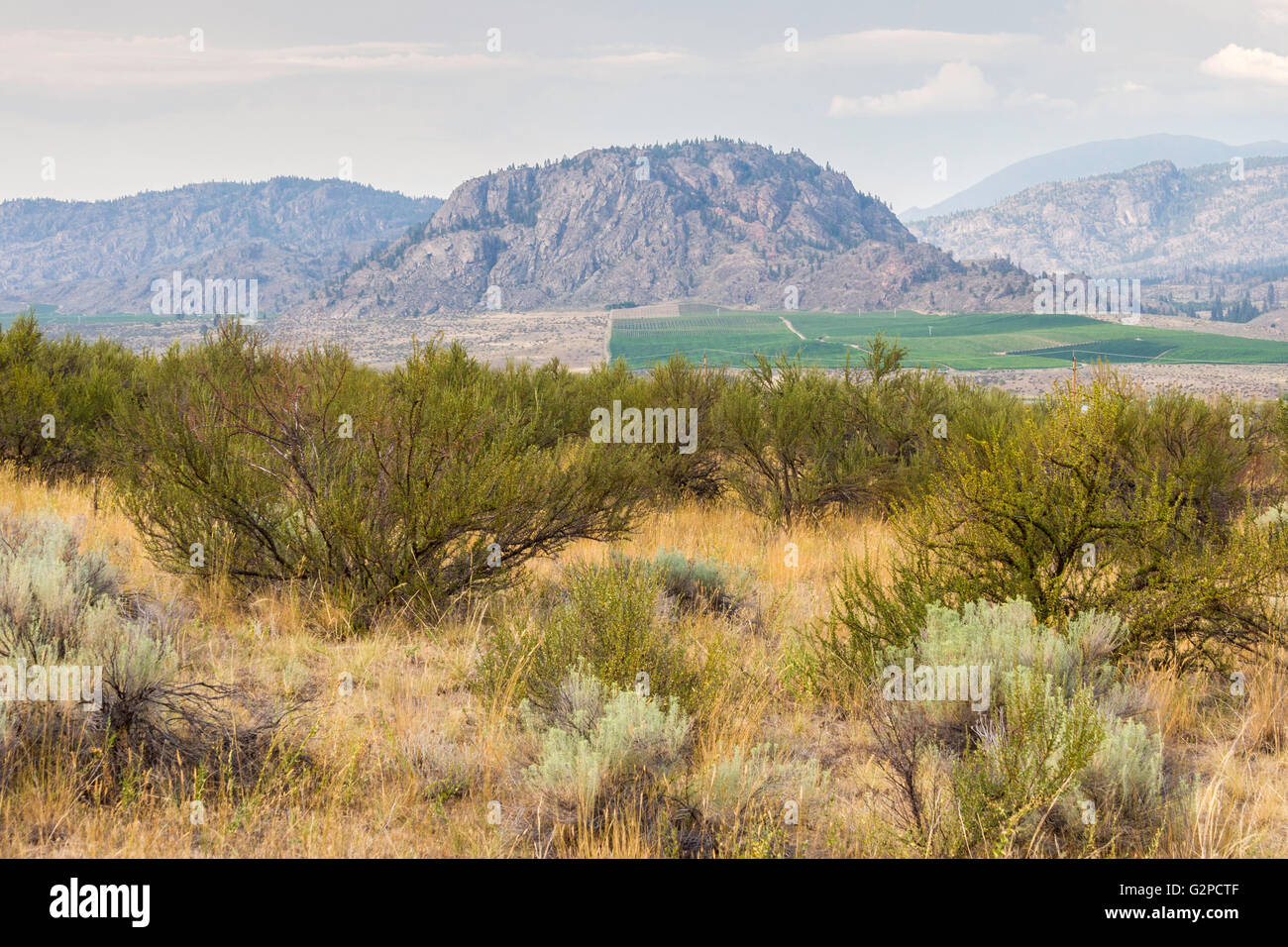 Osoyoos Desert Centre, BC, Canada, is 67 acre nature interpretive ...